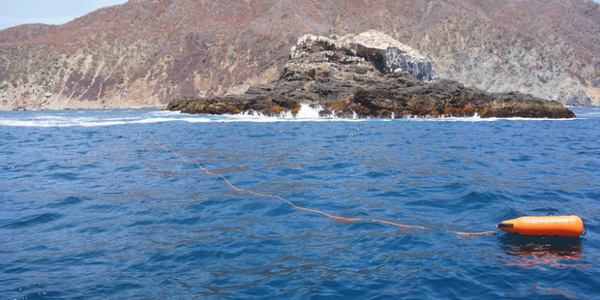 Riffe Vinyl Floatline - Spear America